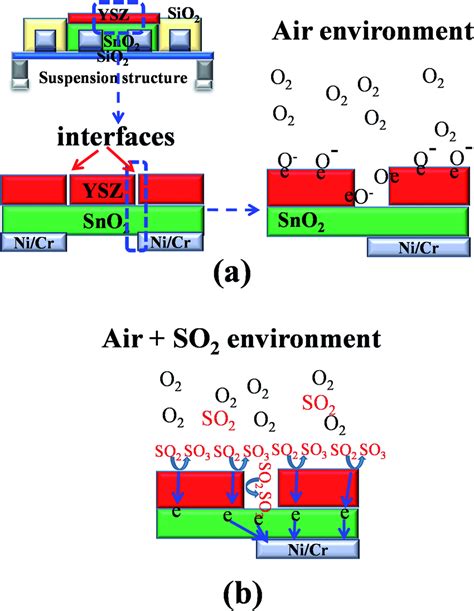 Schematic Diagram Of A Ysz Sno2 Mems So2 Sensor Surrounded By A Air Download Scientific