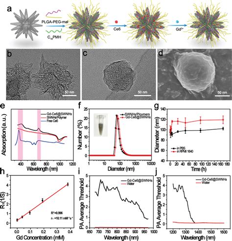 Preparation And Characterization Of Gd‐ce6swnhs A The Schematic Download Scientific Diagram