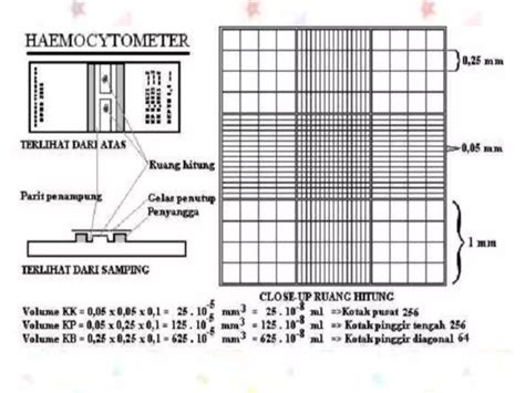 Pertumbuhan Mikroba Pptx