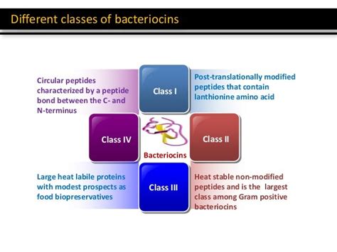 Bacteriocin Based Strategy For Enhaced Food Safety