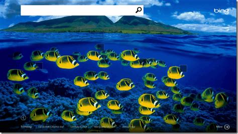 Free Download Them As Your Windows 8 Lock Screen Wallpaper From The App