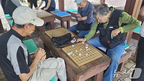 오가는 정이 좋다 보라매 장기원은 화기애애탑골공원은 장기판 철거