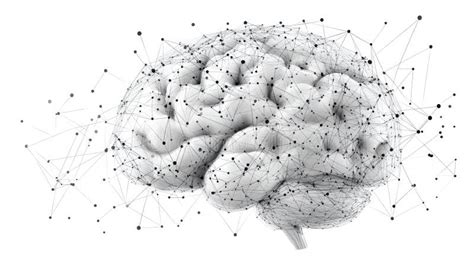 A Digital Representation Of A Brain Connected By A Network Of Lines And Dots Stock Image Image