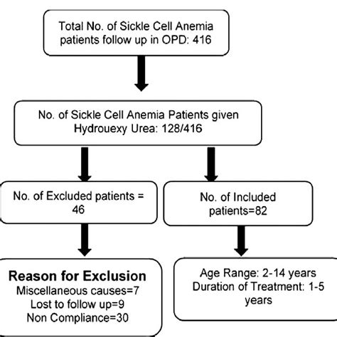 Endoscopic Image Of Mayo Endoscopic Subscore Mes A Endoscopic Download Scientific Diagram