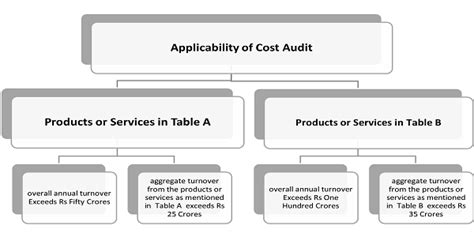 Cost Audit And Cost Records Applicability 2024 25