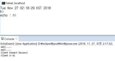 itqom java 소켓통신으로 echo 출력 결과 확인하기