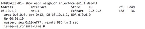 What Is Your OSPF Neighbor Doing Adjacency Problems In OSPF INETZERO
