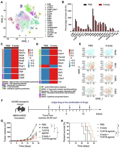Analysis Of Tumor Infiltrating Immune Cells By Single Cell Rna Download Scientific Diagram