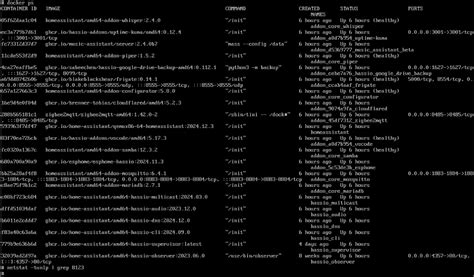 Cant Reach Gui At 8123 Anymore Installation Home Assistant Community