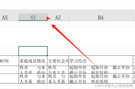 C 解决 Excel 自动适应列宽的问题