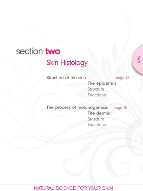 Pdf Sect 2 Ref Skin Histology Dokumentips