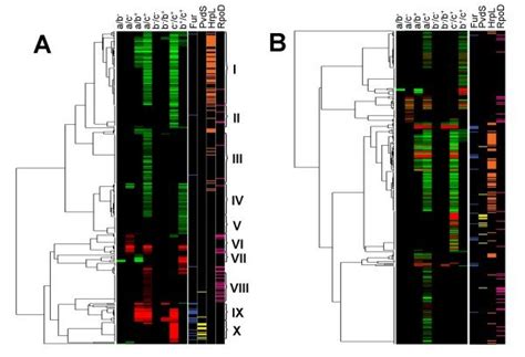 clustering of transcripts based on patterns of differential expression