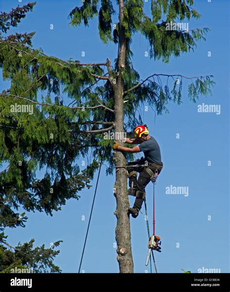 Faller Hi Res Stock Photography And Images Alamy