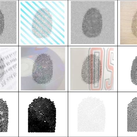 Samples Images From The Synthetic Dataset Created To Train The
