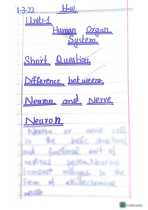 SOLUTION Difference Between Neuron And Nerve Studypool