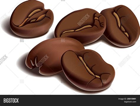 벡터 및 사진무료 체험 Bigstock