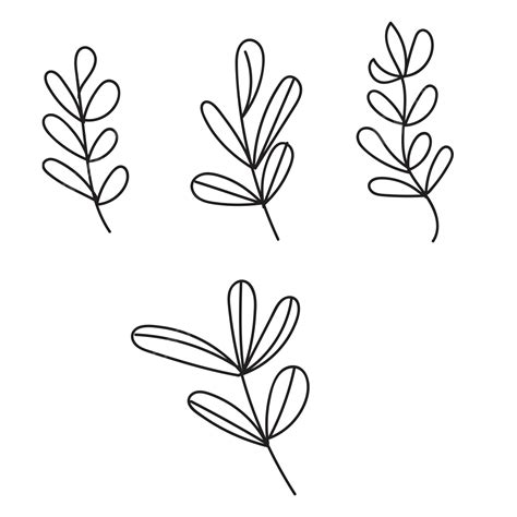 Leaf Liner Vector Cute Leaf Leaf Art Leaf Png And Vector With
