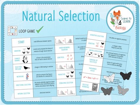 Natural Selection Loop Game Ks5 Teaching Resources