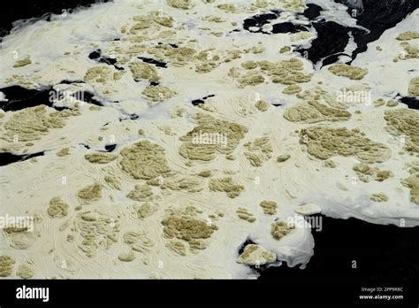 Dirty Foam Floating Of The Water Surface Stock Photo Alamy
