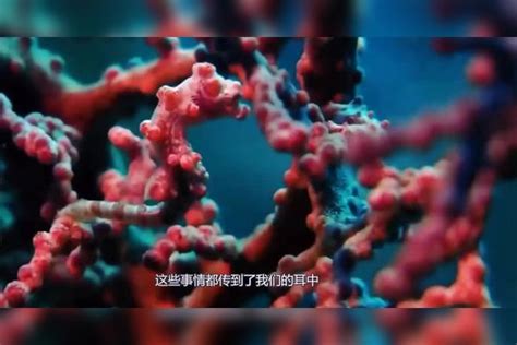 男子养了一鱼缸可爱的小鱼两年后竟离奇失踪抽干水后发现秘密 水后 小鱼 鱼缸