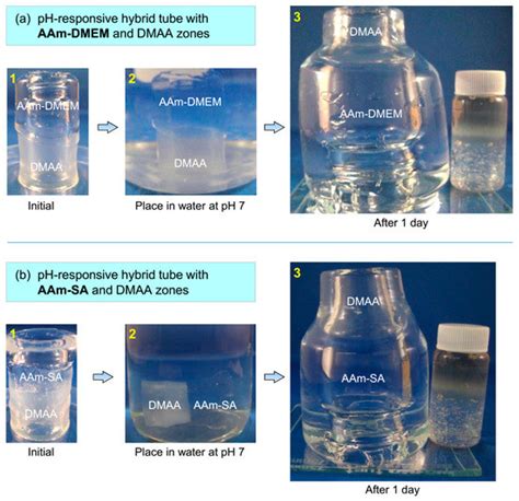 Gels Special Issue Polyelectrolyte Gels