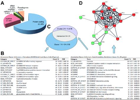 Results Of The Post Hoc Analyses On Genes A Functional Assembly Download Scientific