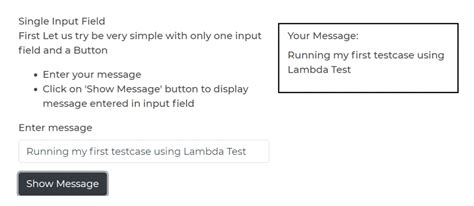 How To Use Testng Reporter Log In Selenium