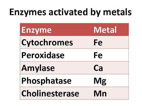 Вiochemistry Of Enzymes Enzyme Classifcation 1 Oxidoreductases