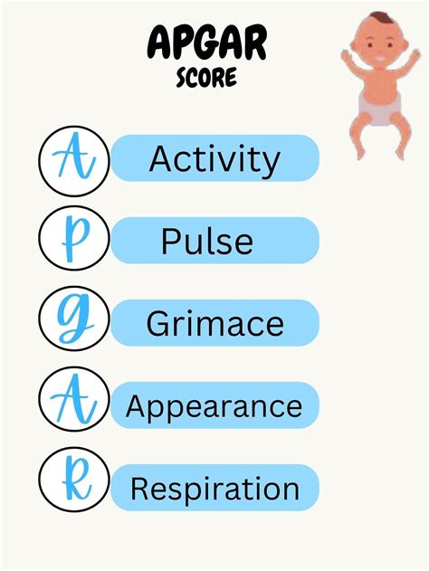 Apgar Score Ratings At Gayle Poston Blog