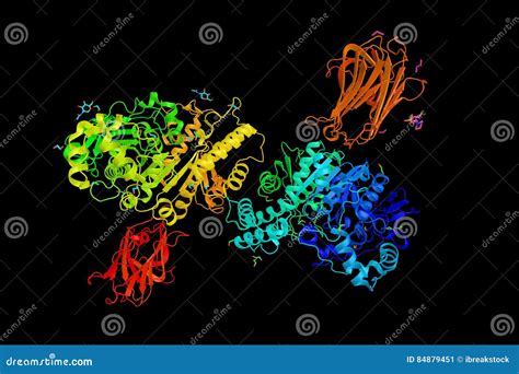A Protein Complex Formed Between Neurexin 1 Beta Stock Illustration Illustration Of Rendering