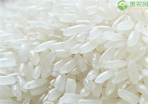 一斤大米多少钱？ 惠农网
