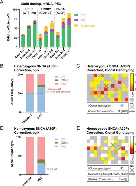 Highly Efficient Generation Of Isogenic Pluripotent Stem Cell Models