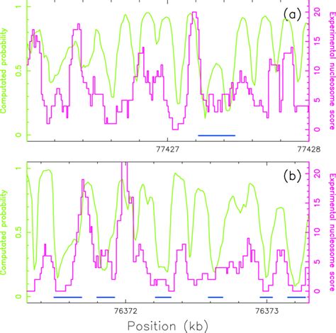 Nucleosome Occupancy Profiles And In Silico Nucleosome Free Regions Download Scientific