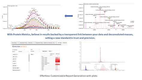 Intact Level Analysis Acrnstech