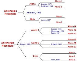 Alpha And Beta Receptors Chart