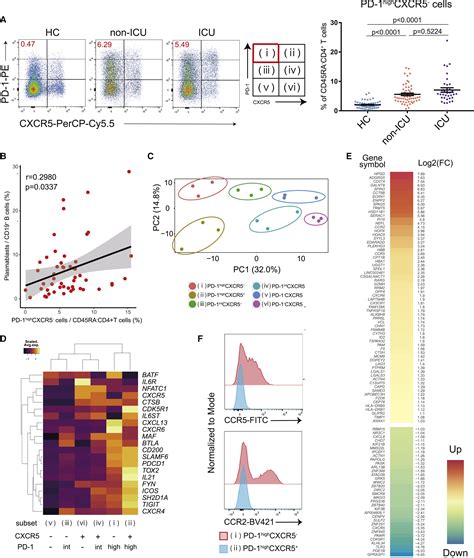 pd 1highcxcr5 cd4 peripheral helper t cells promote cxcr3