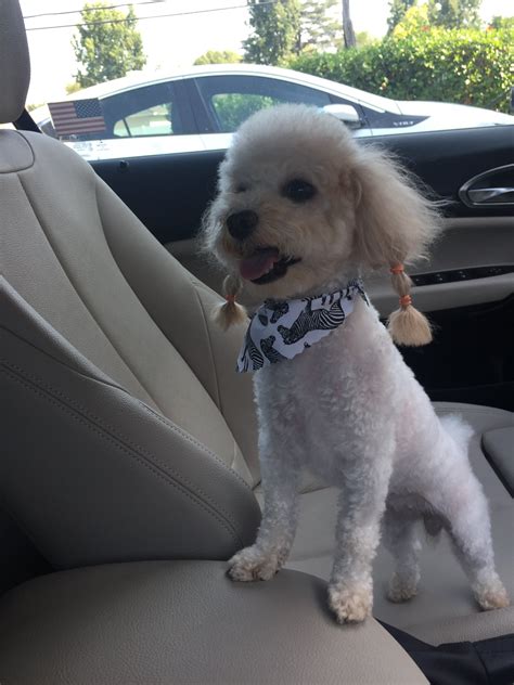 舌头是地獄之火🇺🇸🇯🇵 Franklin6161 Twitter