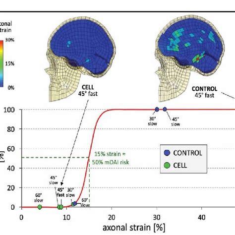 ECE Type Test Apparatus Download Scientific Diagram