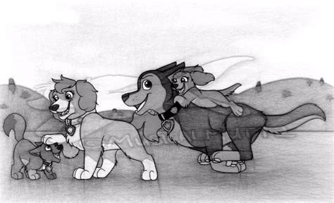 Skye And Chase Fanarts Paw Patrol Fan Art Fanpop