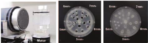 Miniature Spect Using 7×7 Pinhole Collimator Along With A Resolution Download Scientific
