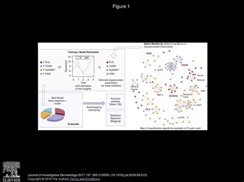 Shrinking The Psoriasis Assessment Gap Early Gene Expression Profiling Accurately Predicts