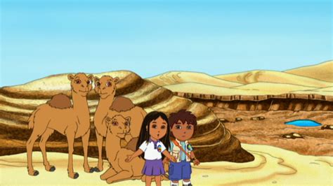 Watch Go Diego Go Season 3 Episode 16 Egyptian Camel Adventure Full Show On Paramount Plus
