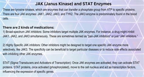 Understanding Jak Inhibitors Top 10 Natural Alternatives To