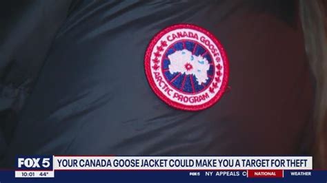 Thieves Targeting Canada Goose Jackets Douglas Mcgaughey Cpp Cas Cpd