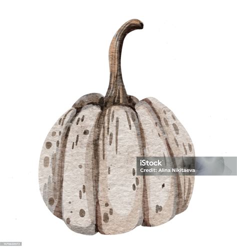 귀여운 수채화 호박 호박 스쿼시 아이들은 할로윈 추수 감사절을 위해 흰색으로 그렸습니다 엽서 포스터 첫 신생아 휴가에 이상적입니다 10월에 대한 스톡 벡터 아트 및 기타