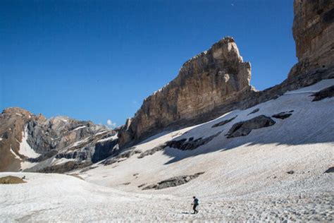Magical Insect Migration Across The Pyrenees Geographical