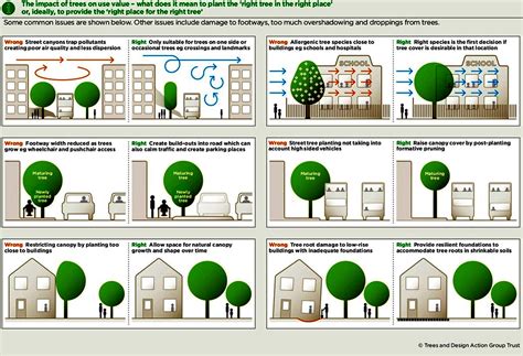 Tree Root Protection EcoGrid
