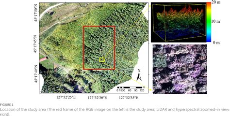 Figure 1 From Identification Of Tree Species Based On The Fusion Of Uav