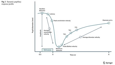 How Do You Check Pupils For Concussion Complete Concussions
