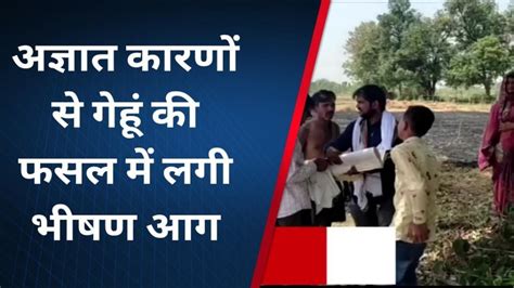 अमेठी नहीं थम रहा आग का तांडव गेहूं के खेत में लगी भीषण आग Video Dailymotion